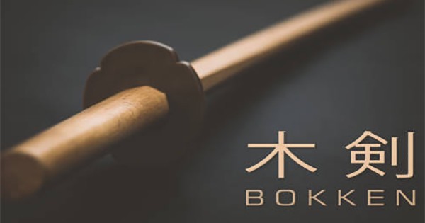 WHAT IS THE JAPANESE BOKKEN?